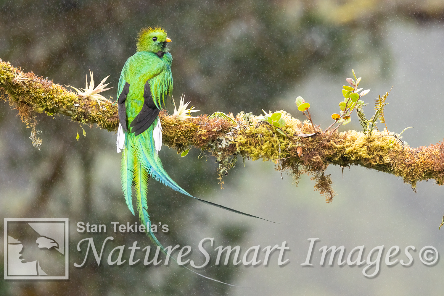 Photo Workshops & Tours - Naturesmart